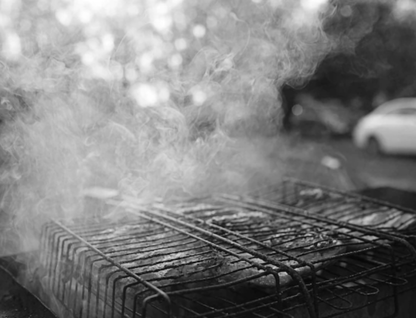 Fumul din boscheți și marea grătăreală - Dana Nichitelea